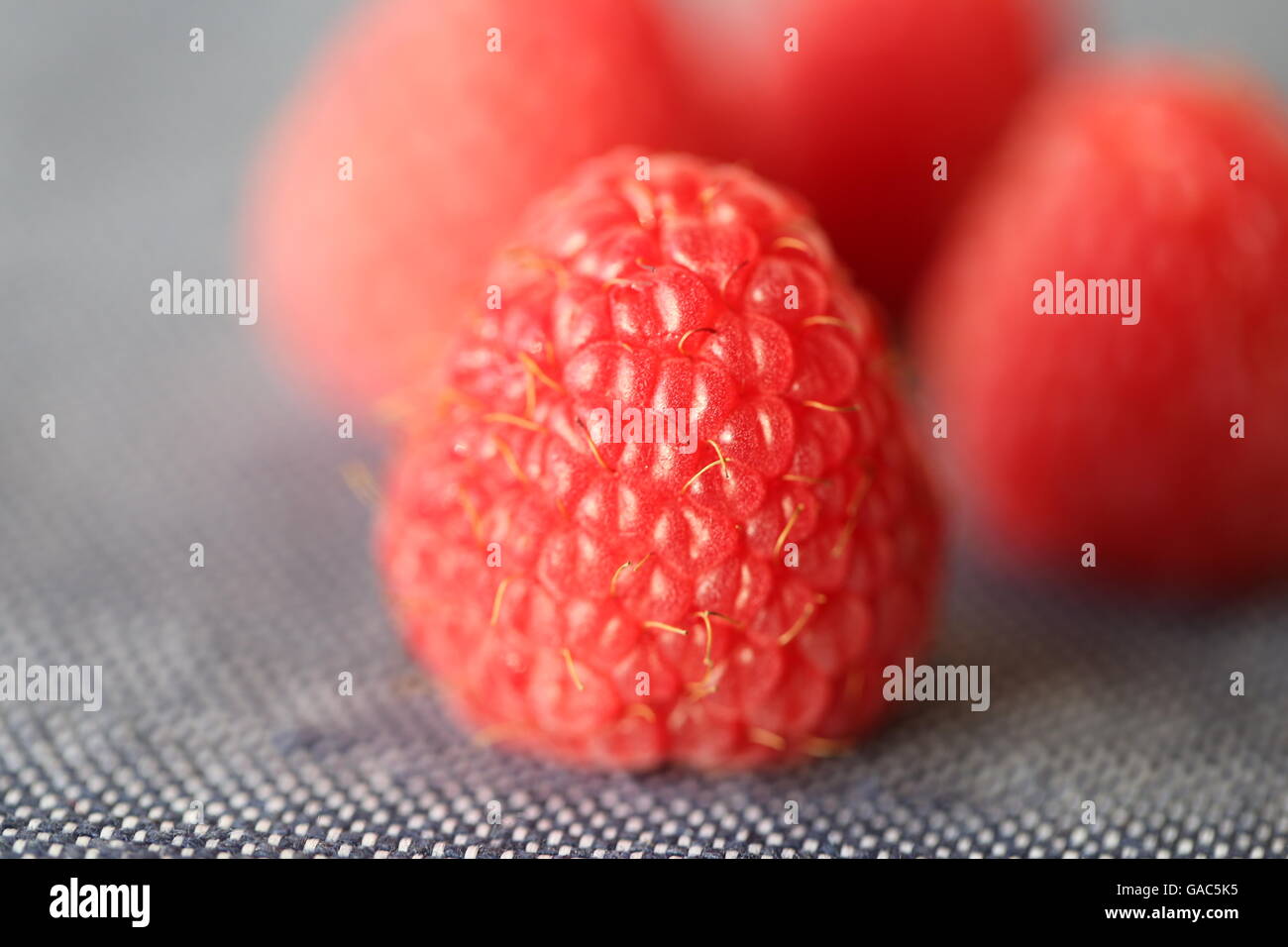 Raspberrytexture hi-res stock photography and images - Alamy