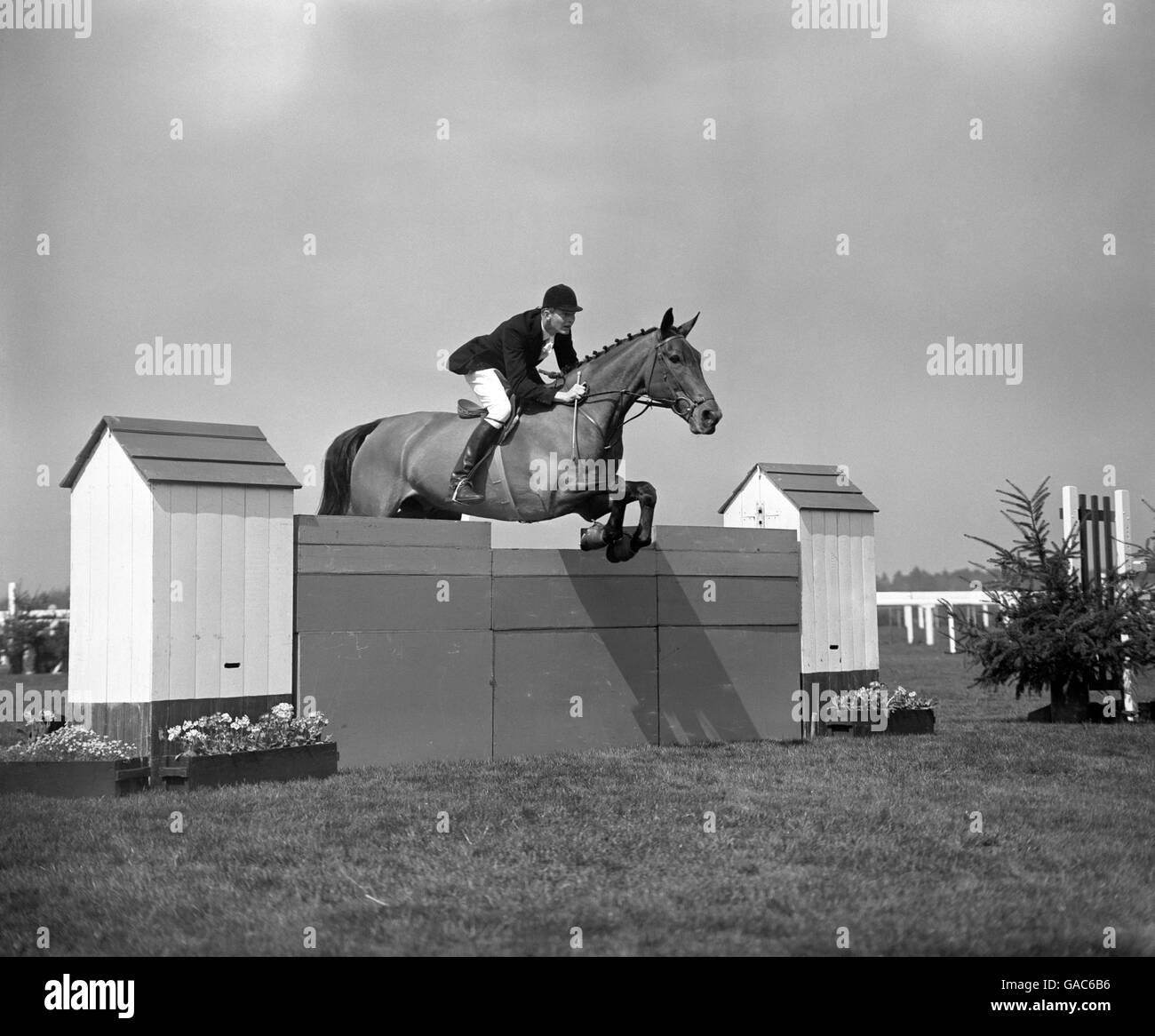 Equestrian - Golden Gate Stakes - Ascot Jumping Show - Ascot. John Kidd ...