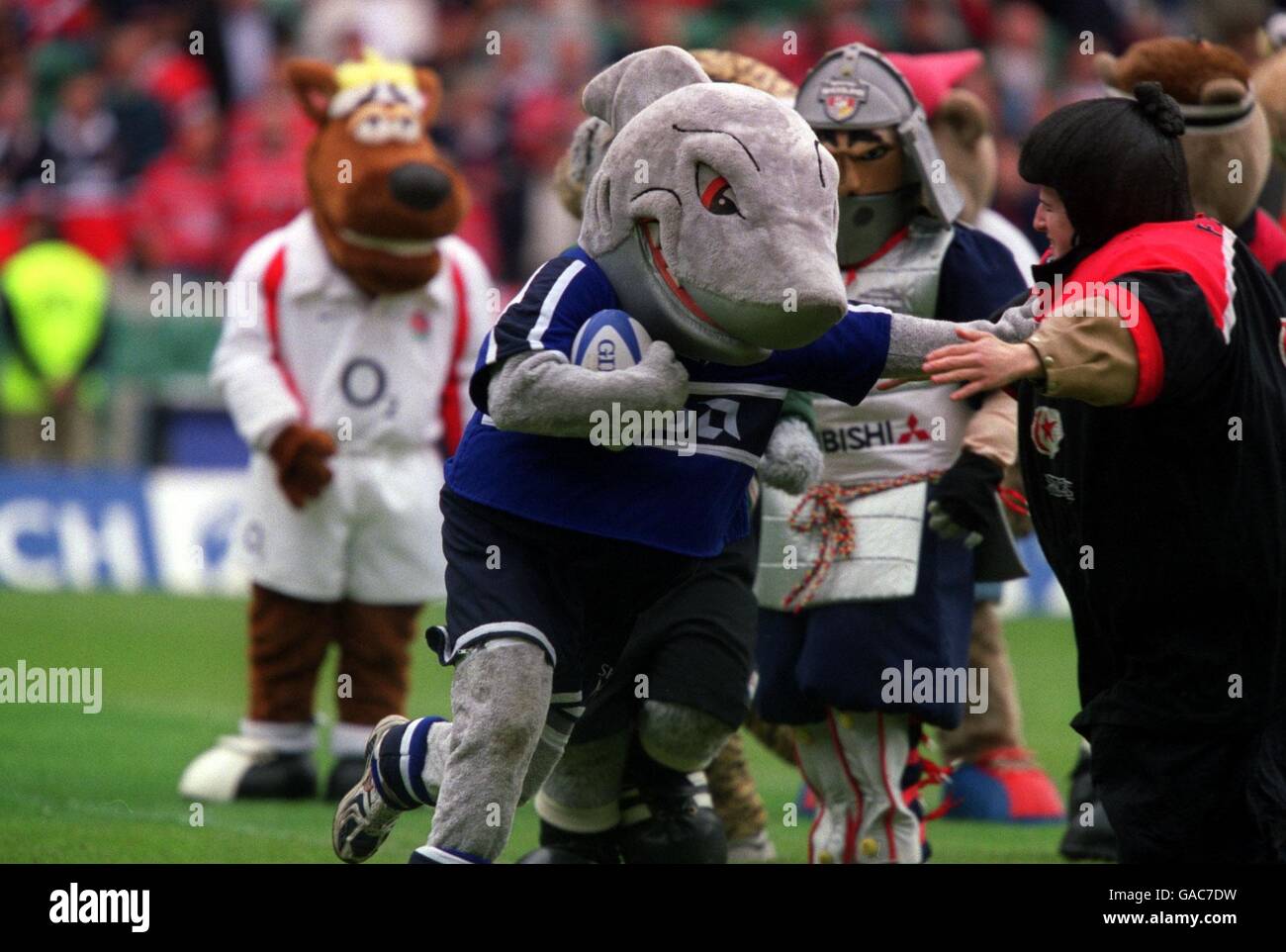 Action from the mascots match hi-res stock photography and images - Alamy