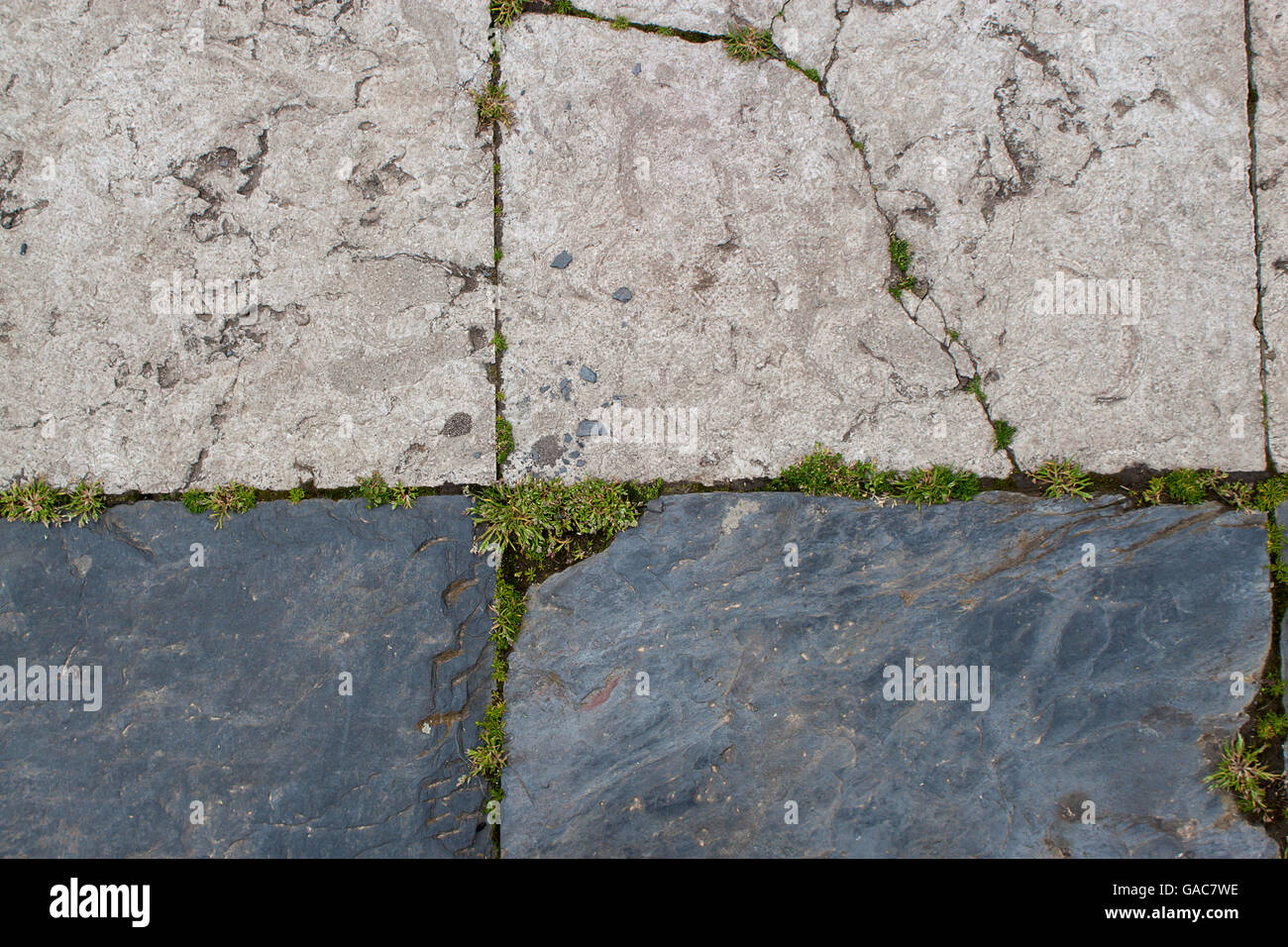 Geometric stone path with green plants and moss Stock Photo - Alamy