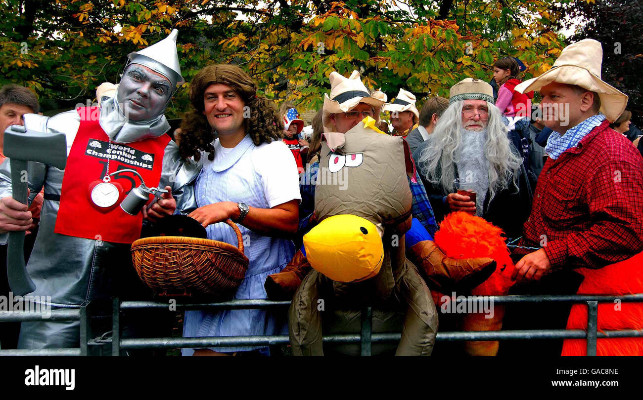 The world conker championships held in ashton hi-res stock photography ...