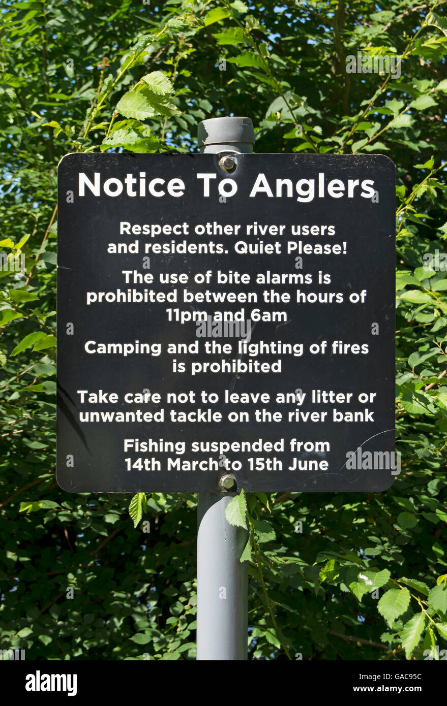 notice to anglers sign, beside the river thames on barge walk, hampton ...