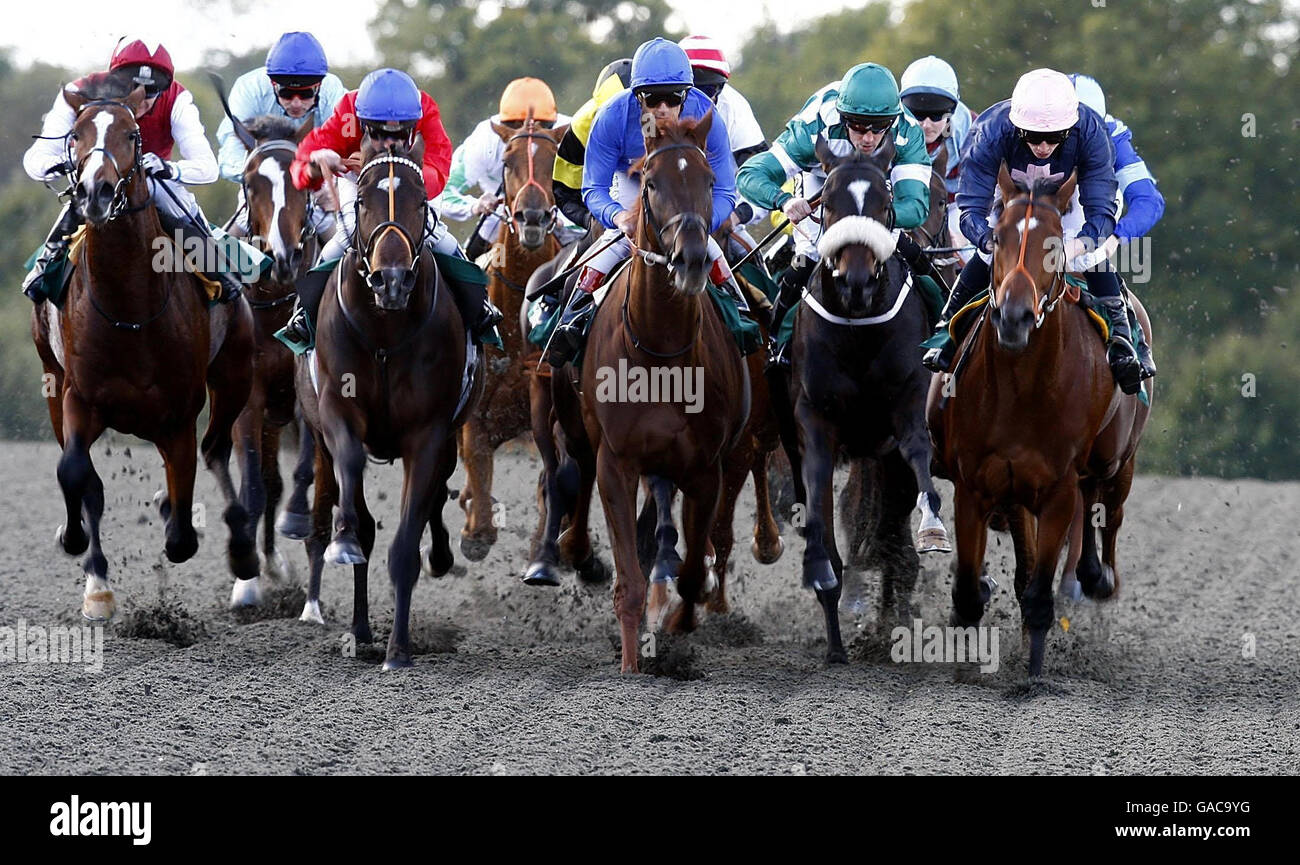 Horse Racing - Lingfield Racecourse Stock Photo - Alamy