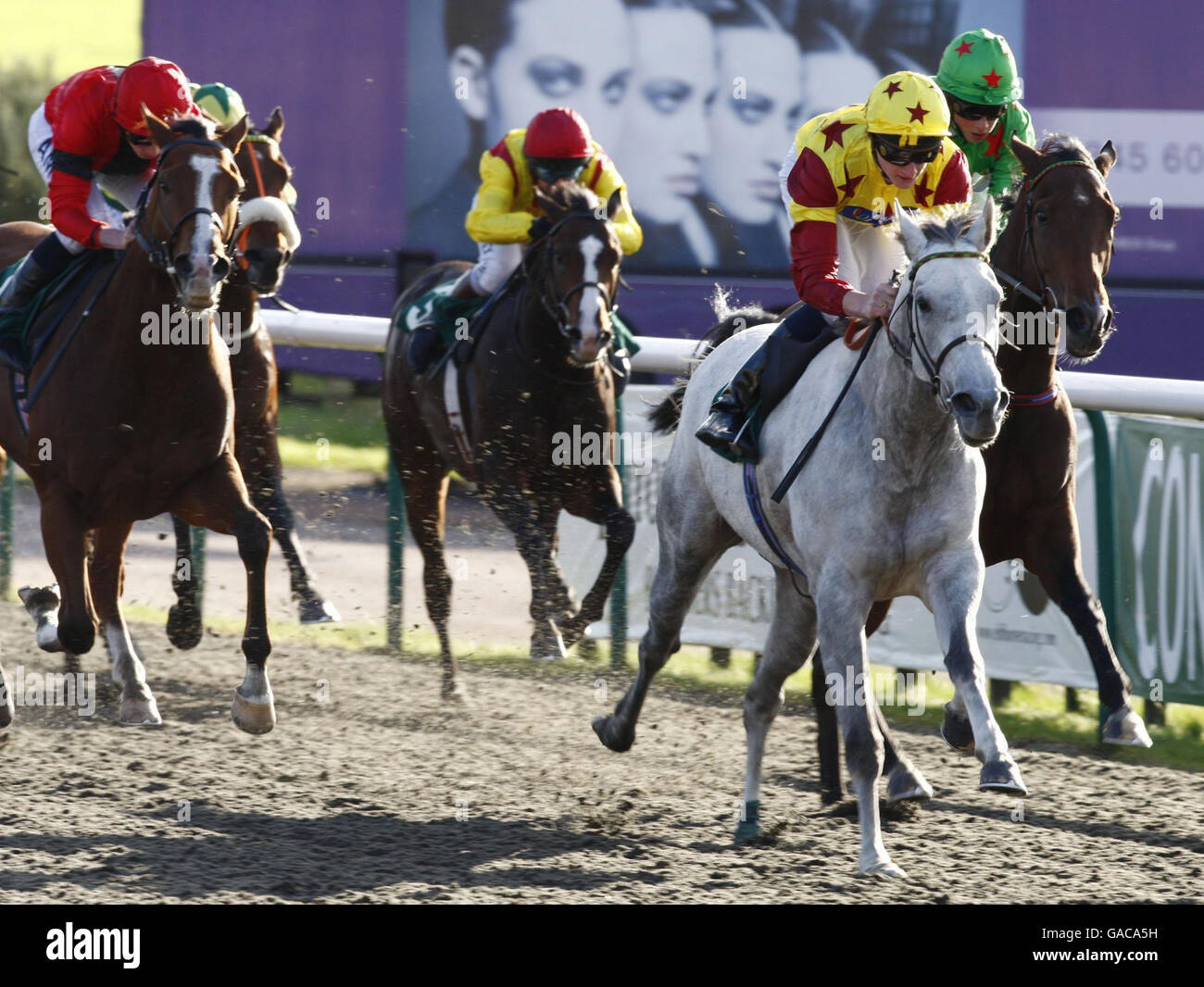 Horse Racing - Lingfield Racecourse Stock Photo - Alamy