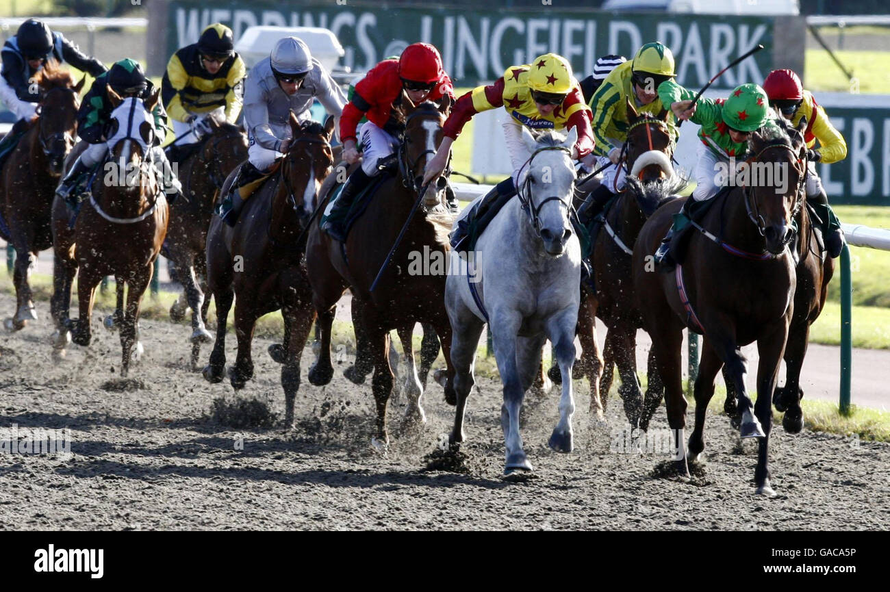 Horse Racing - Lingfield Racecourse. Pendulum Star and Jockey Adam ...