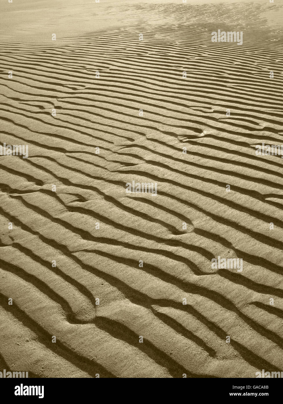 Sand beach background in sepia tone. Vertical format Stock Photo - Alamy