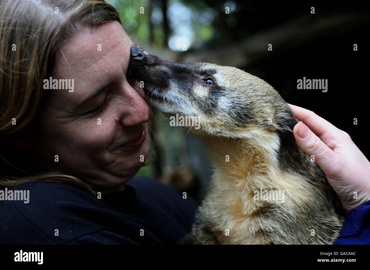 Animals - Zoo Keeper For The Day Stock Photo - Alamy