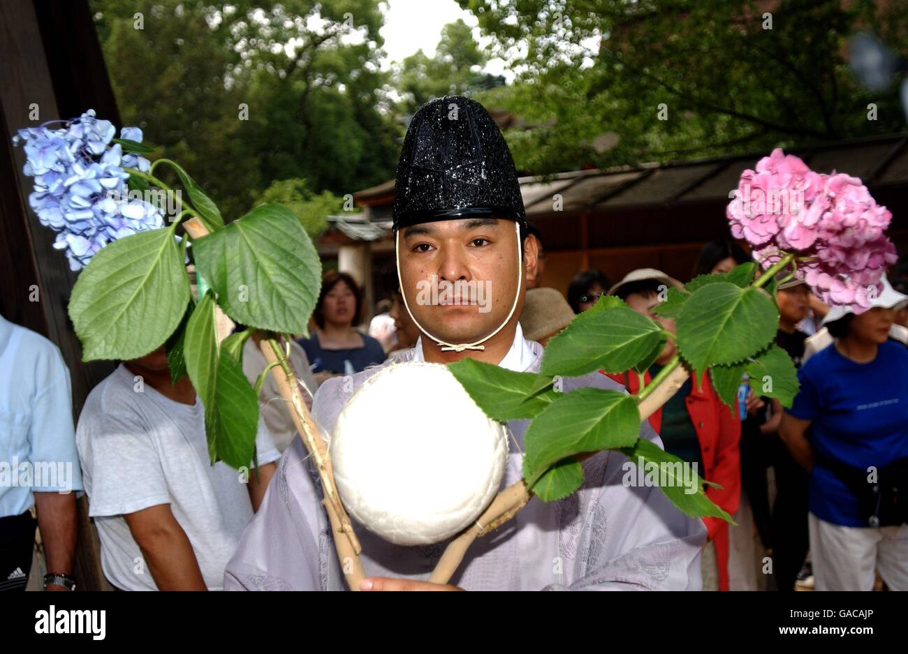 Kemari horse hi-res stock photography and images - Alamy