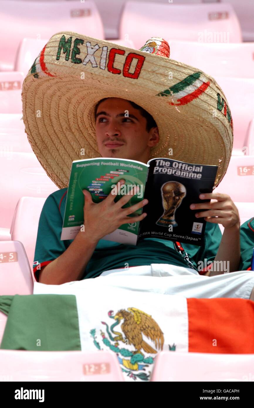 Soccer -Fifa World Cup 2002 - Second Round - Mexico v USA Stock Photo ...