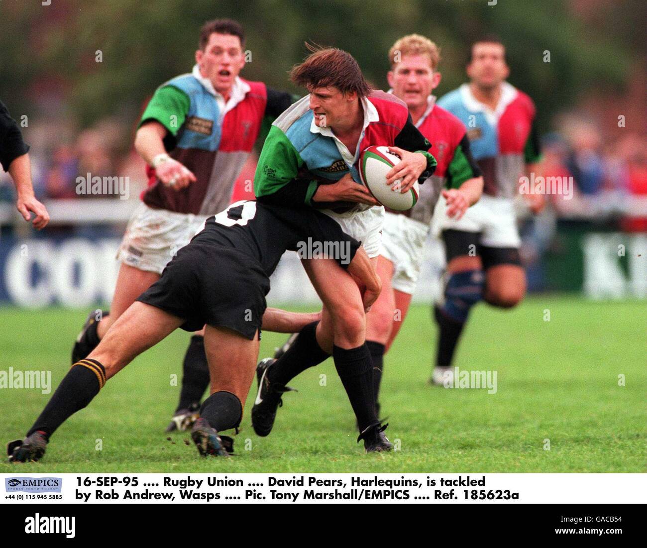 185623a David Pears Stock Photo - Alamy