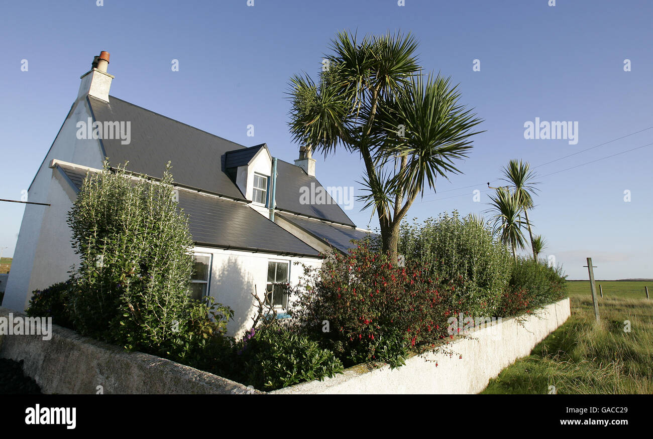Isle of Tiree views. A croft with palm trees in its garden on the Isle ...