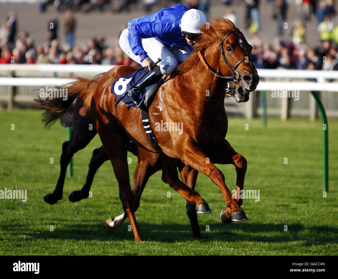 Windsor Knot and jockey Ted Durcan wins the Georgia house stud darley ...