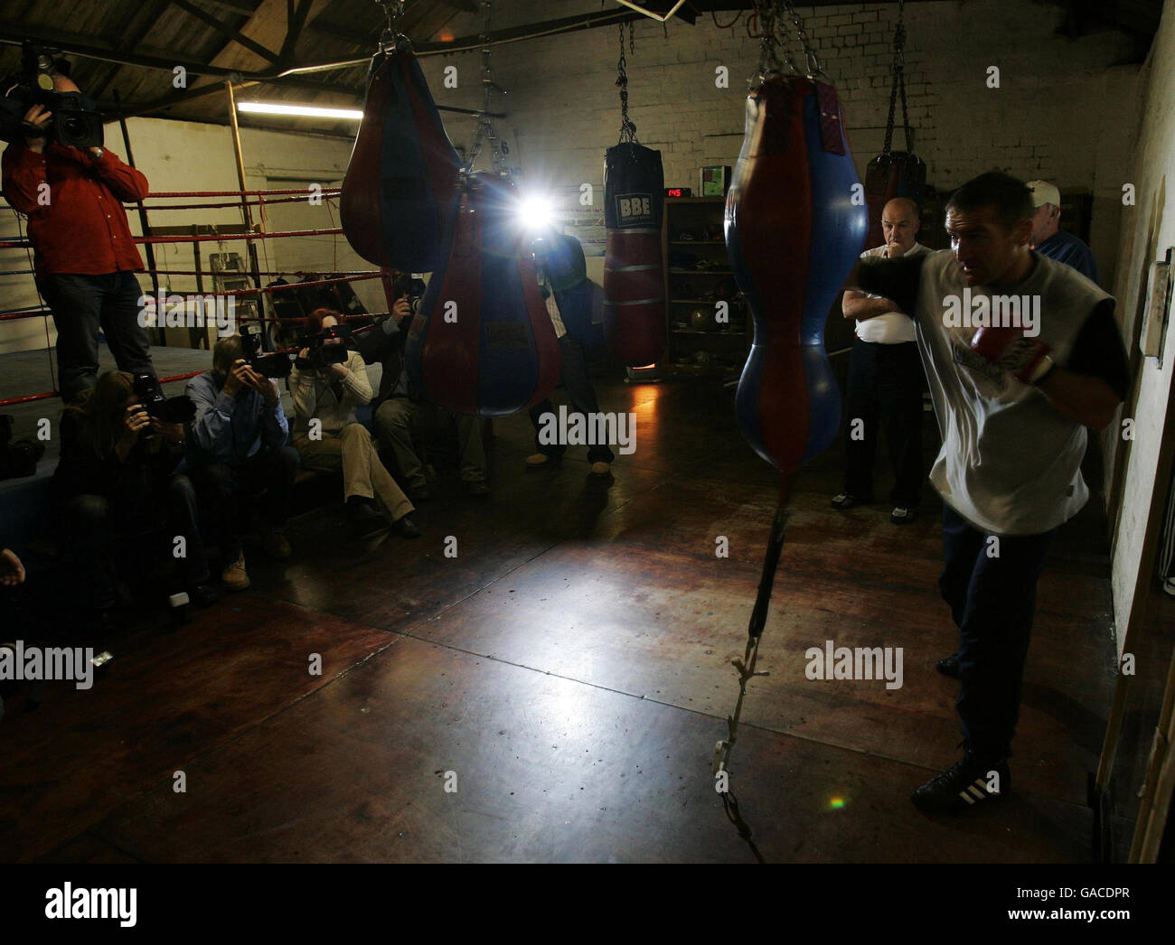 Boxing scott harrison photo call phoenix amateur boxing club hi-res ...
