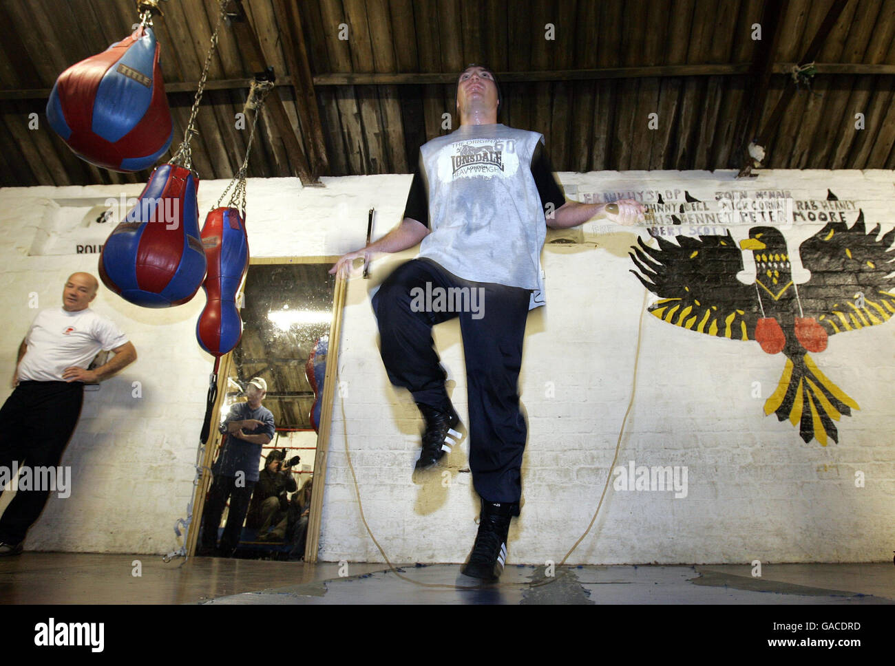 Phoenix bird logo hi-res stock photography and images - Alamy