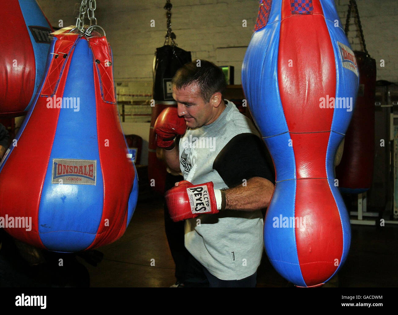 Boxing - Scott Harrison Photo Call - Phoenix Amateur Boxing Club ...