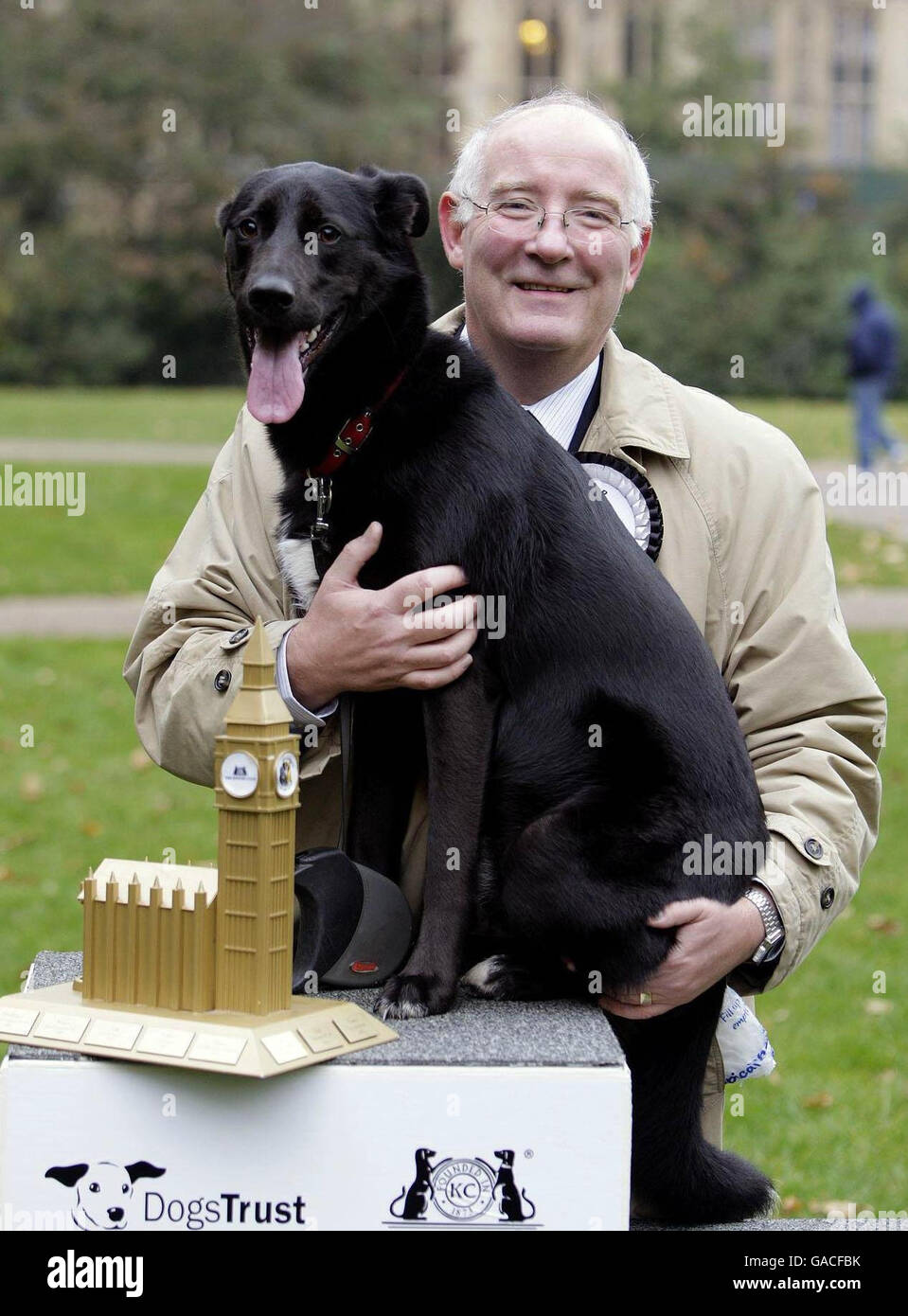 Labour mp for weaver vale mike hall with his dog hi-res stock ...