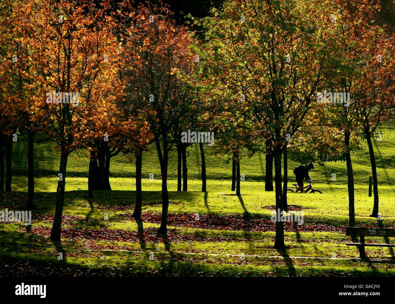 Britainimagescollectionmov hi-res stock photography and images - Alamy