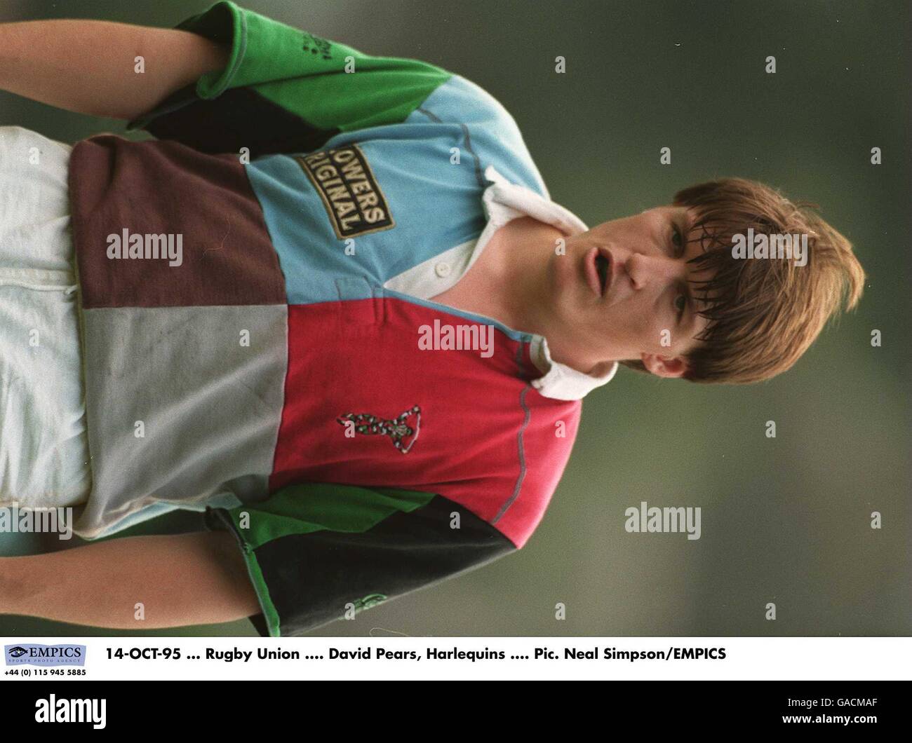 Rugby union david pears hi-res stock photography and images - Alamy