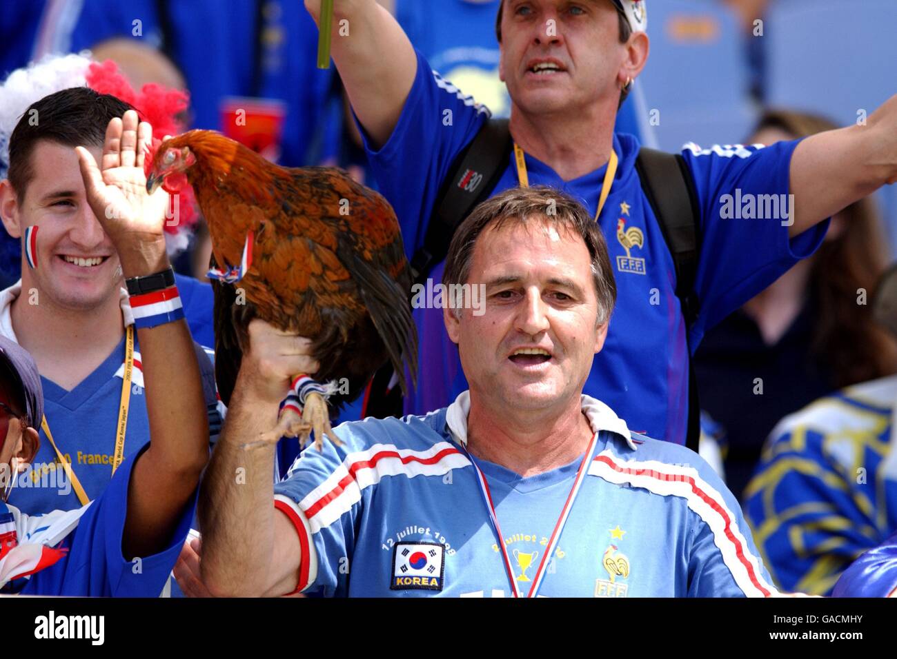 Game cockerel hi-res stock photography and images - Alamy