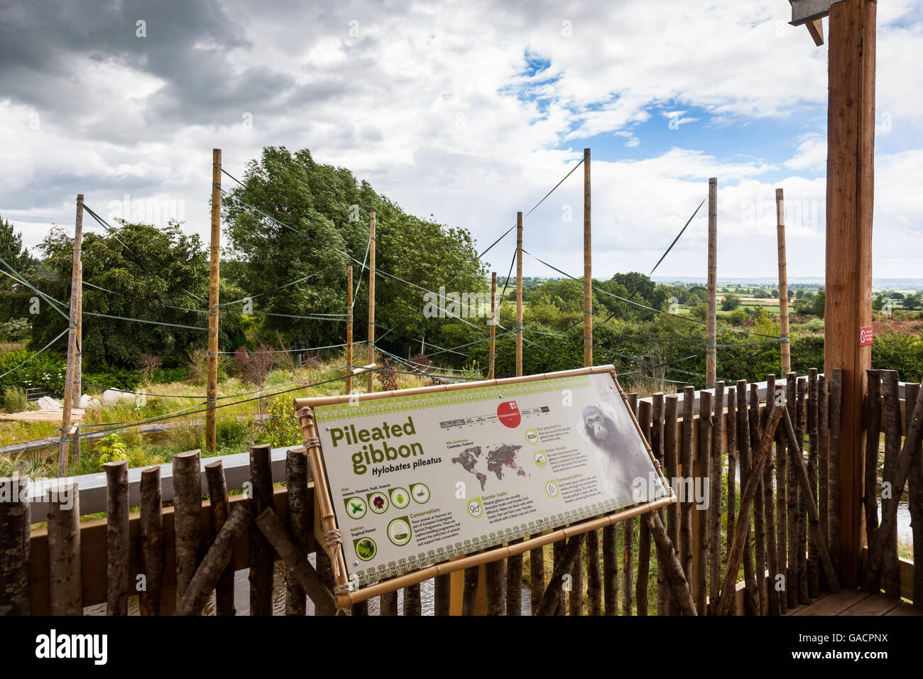 Pileated Gibbon information panel and outside enclosure at Gibbon ...