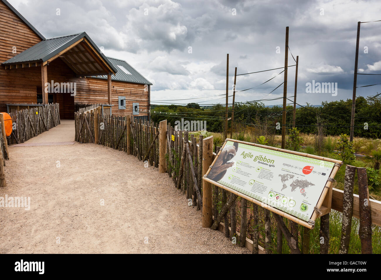 Gibbon Forest, Twycross Zoo, Leicestershire, England Stock Photo - Alamy