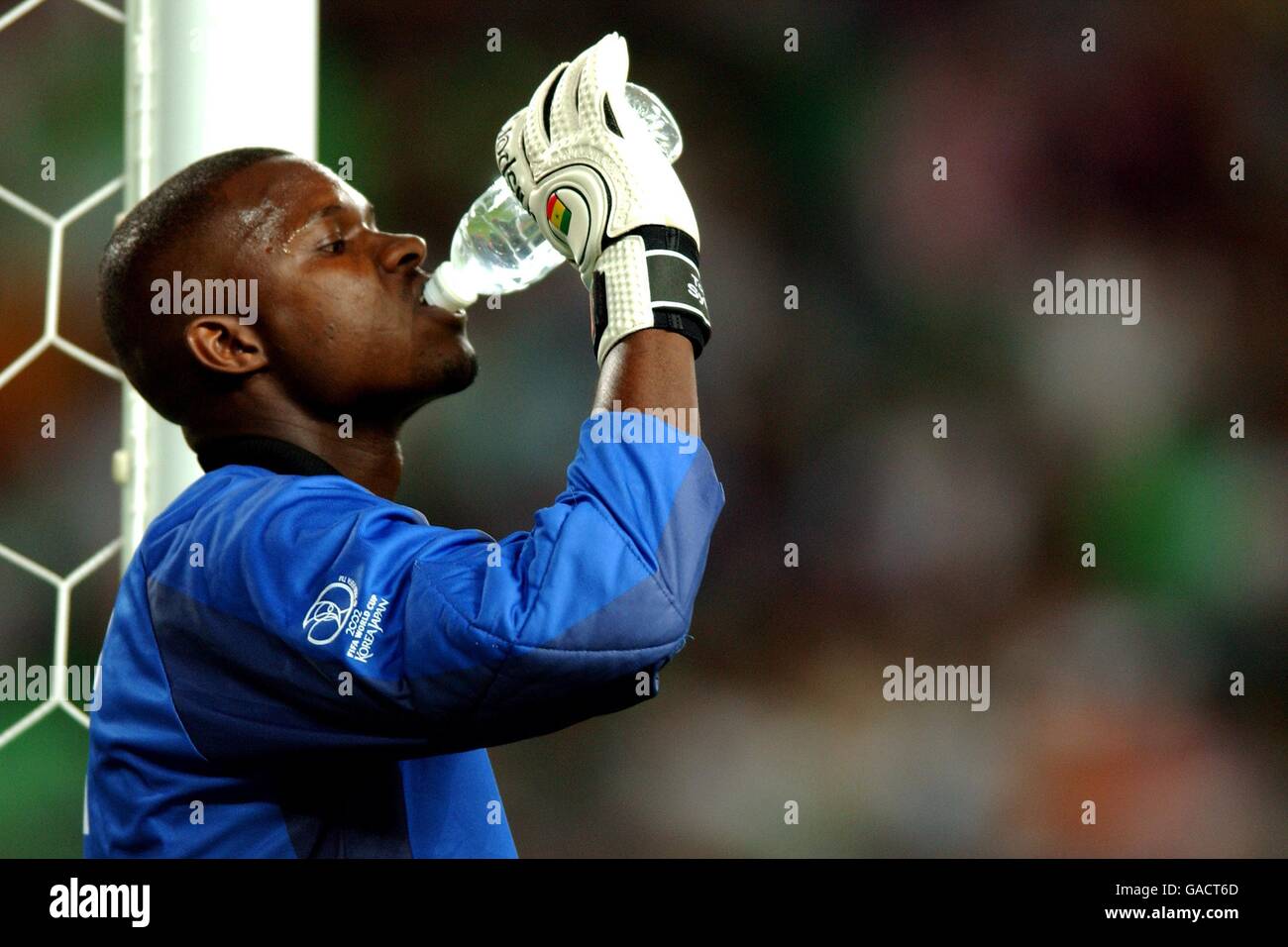 Senegal goalkeeper tony sylva hi-res stock photography and images - Alamy