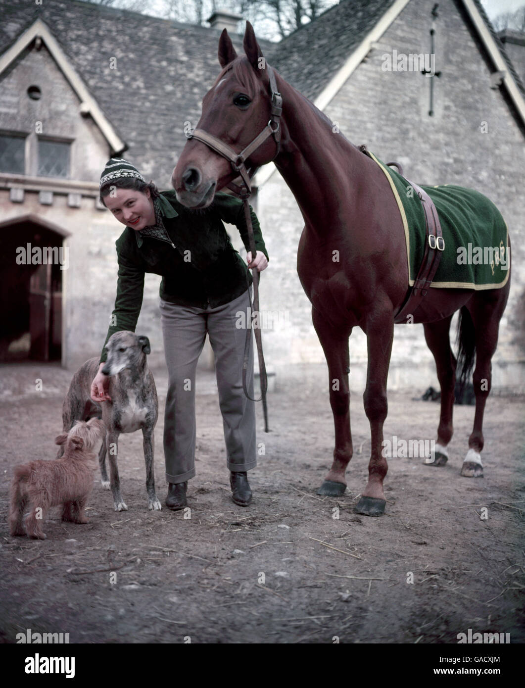 Pat smythe hi-res stock photography and images - Alamy