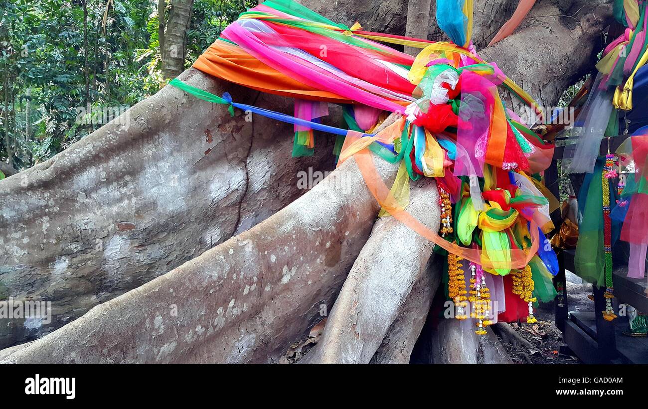 Fabric covered tree hi-res stock photography and images - Alamy