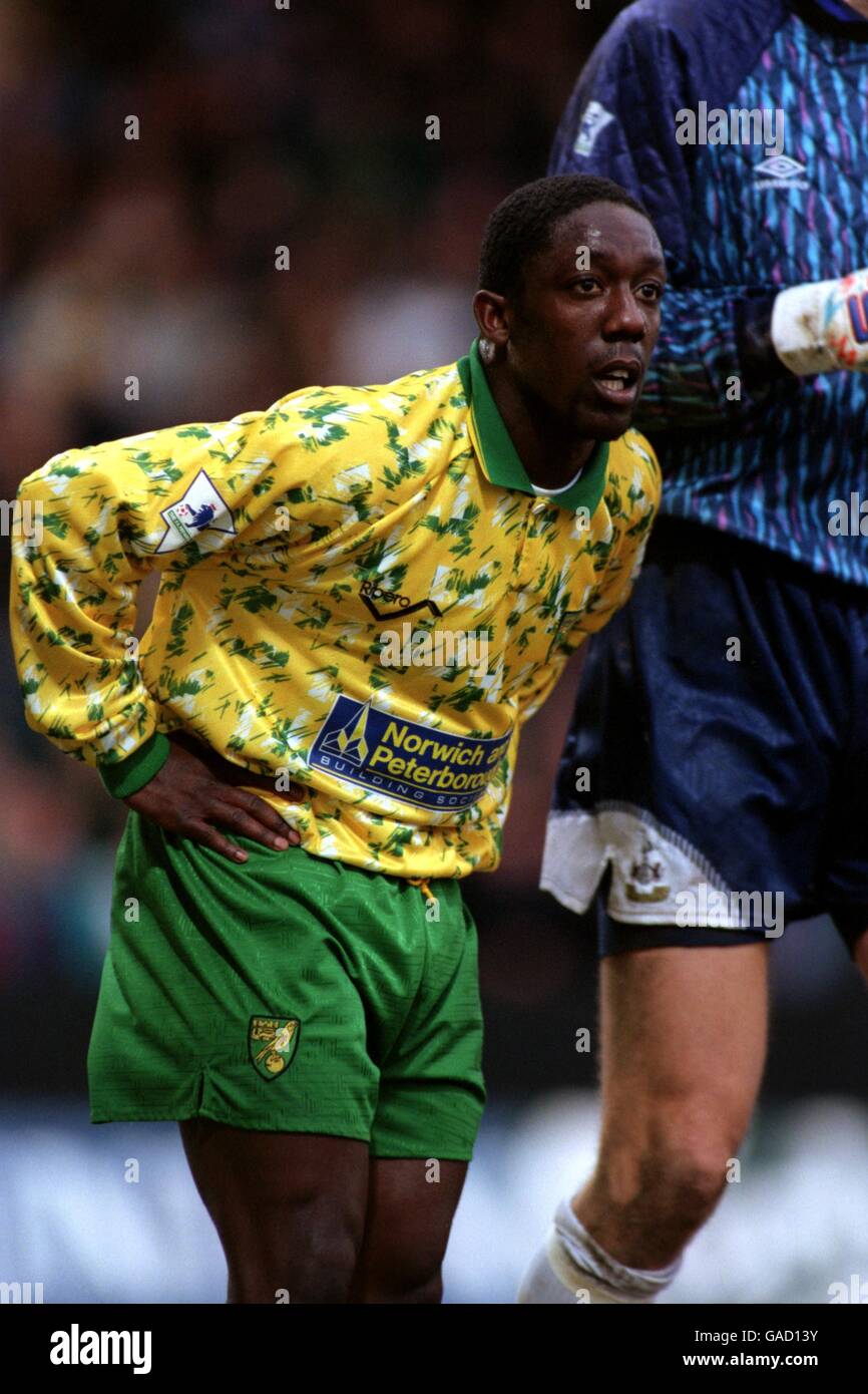 Ruel fox hi-res stock photography and images - Alamy