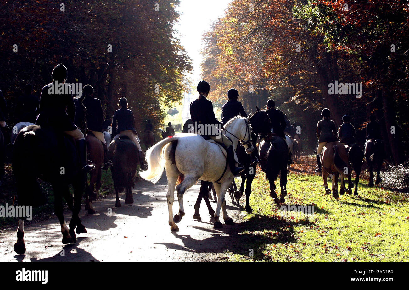 Start of hunting season Stock Photo - Alamy