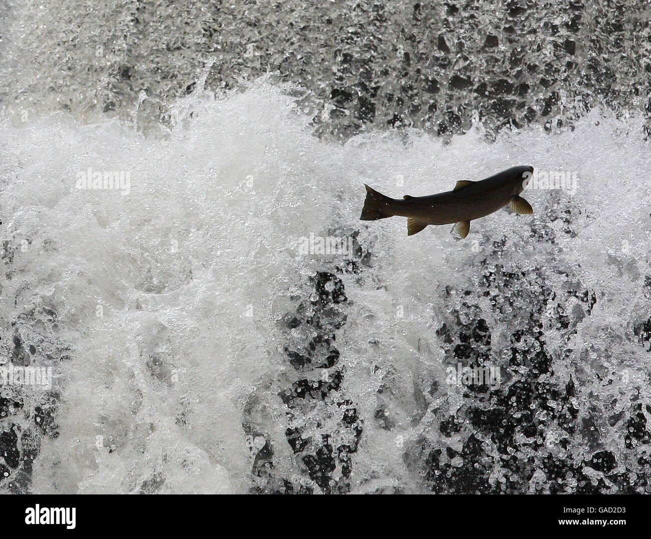 Britaincollectioncuratedautumn hi-res stock photography and images - Alamy