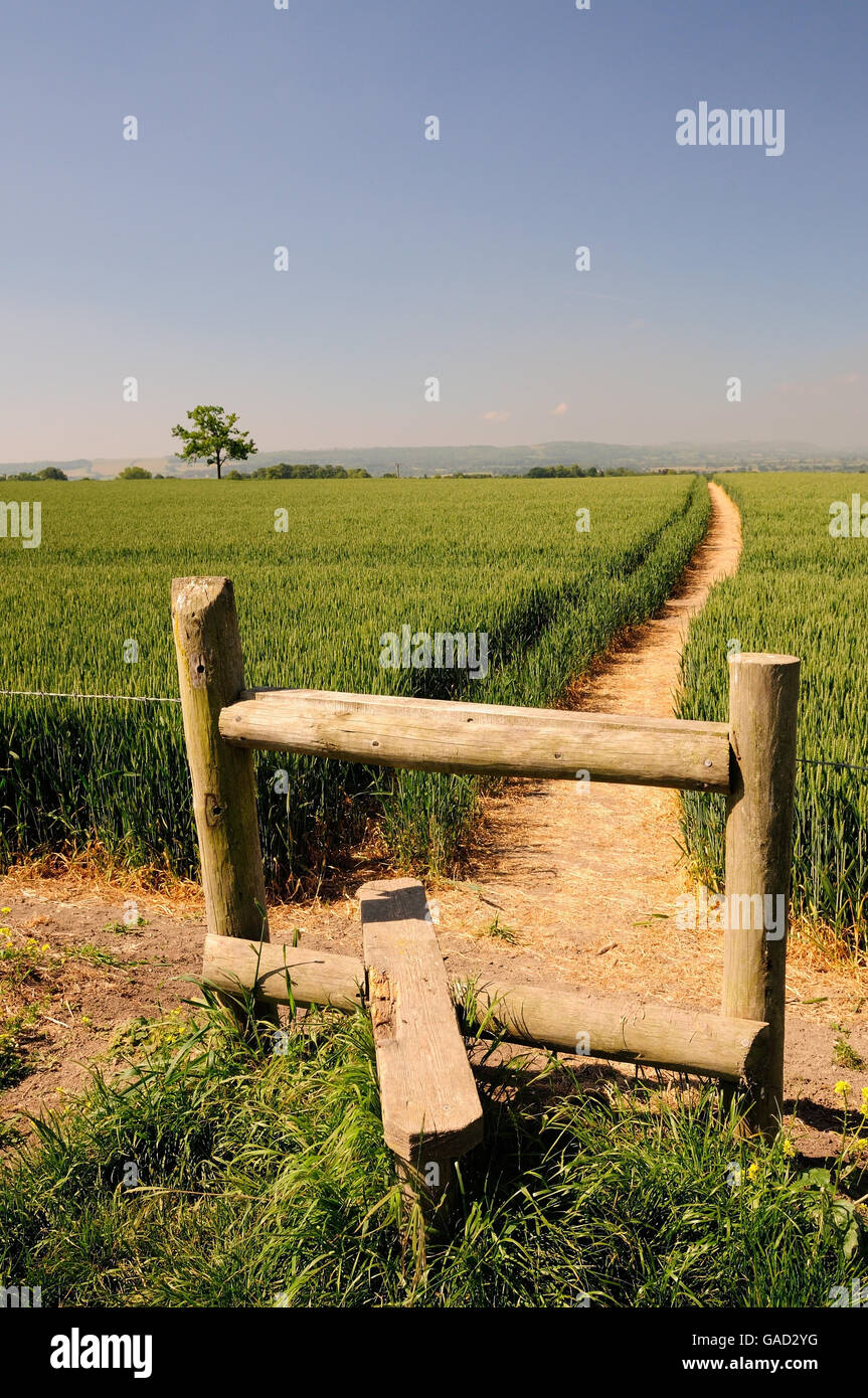 Stile Field High Resolution Stock Photography and Images - Alamy