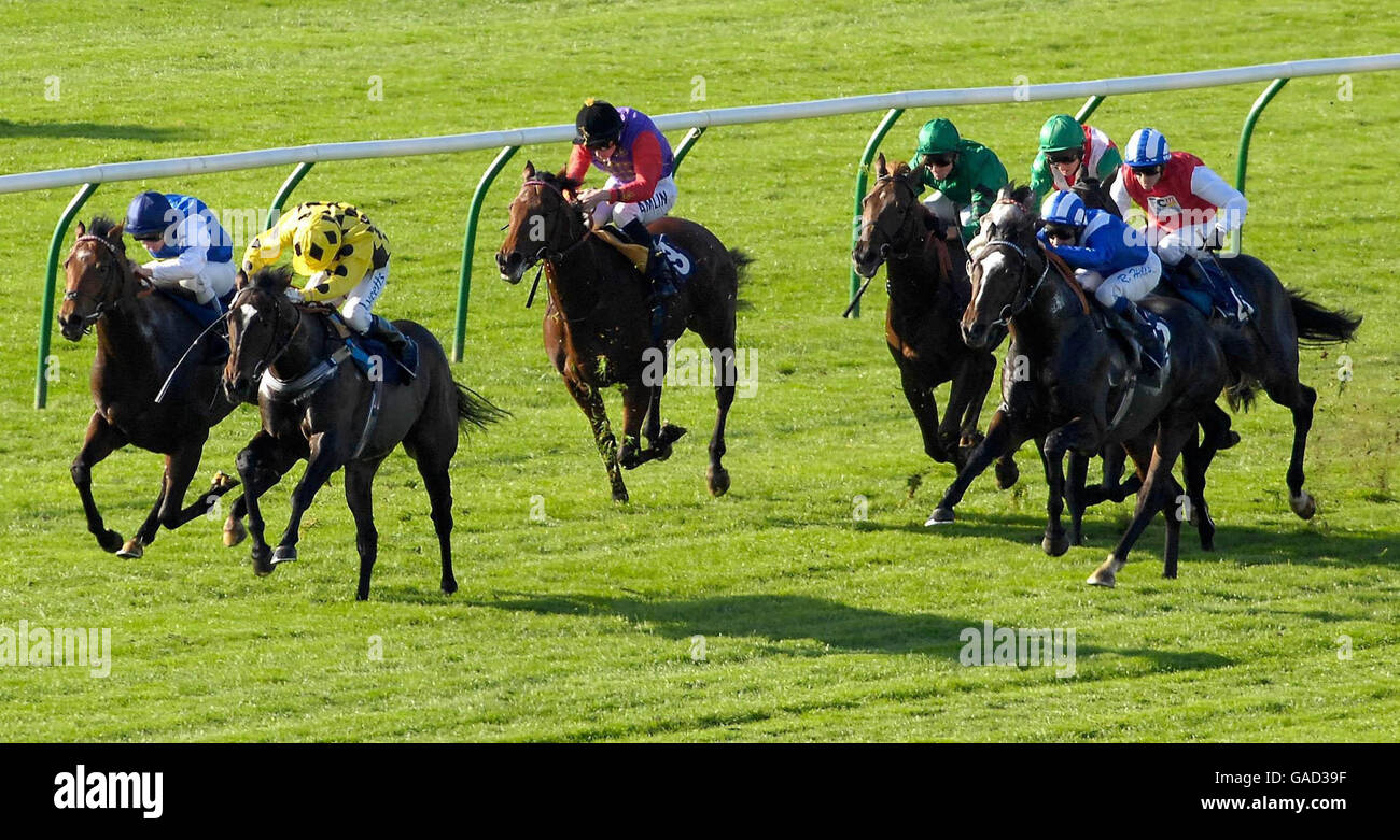 Horse Racing - Newmarket Racecourse Stock Photo - Alamy