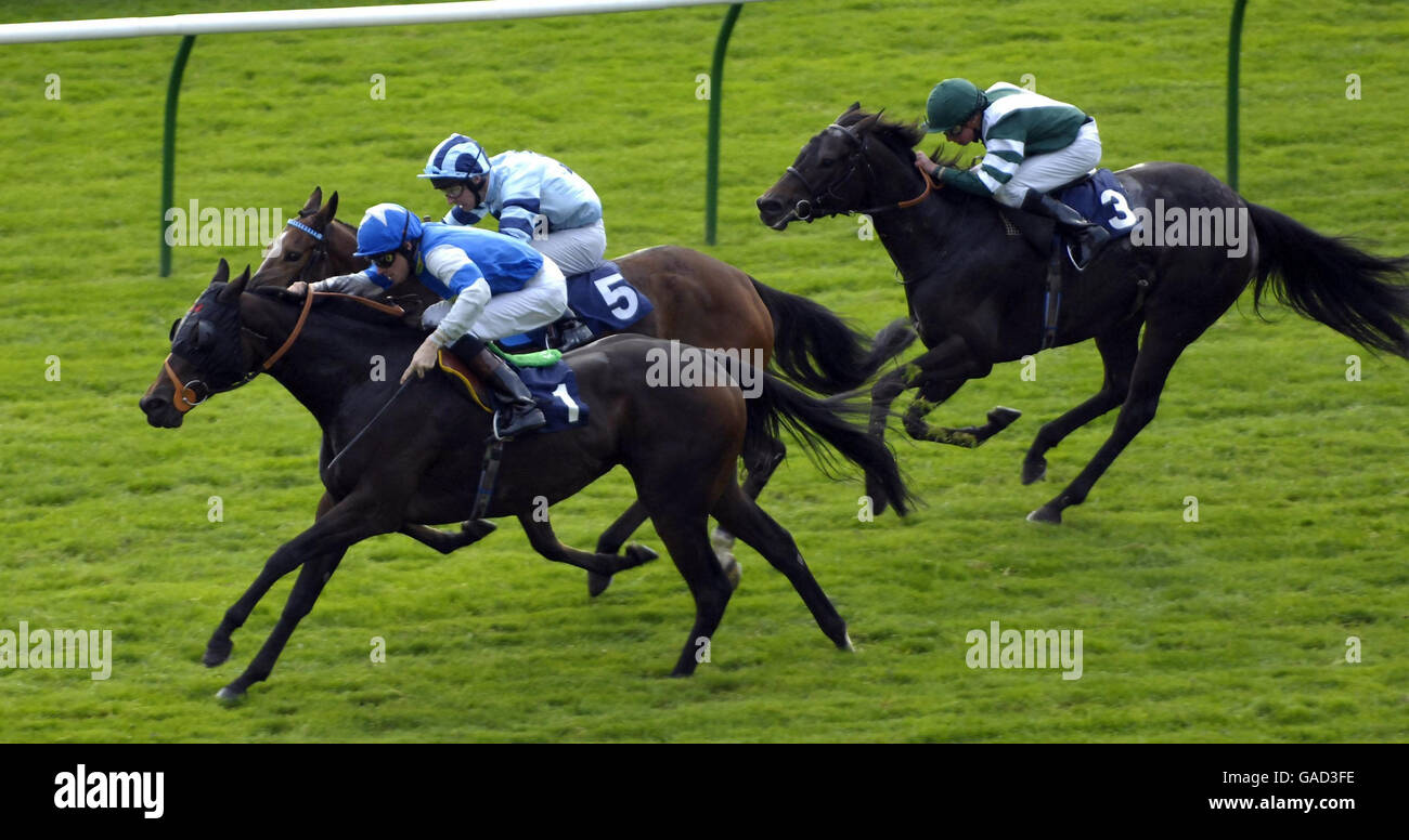 Horse Racing - Newmarket Racecourse Stock Photo - Alamy