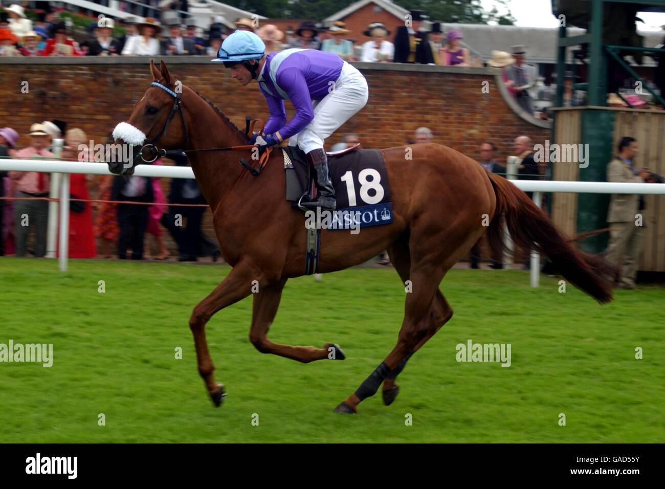 Speed Cop ridden by Kevin Darley goes to post in The Queen Mary Stakes ...
