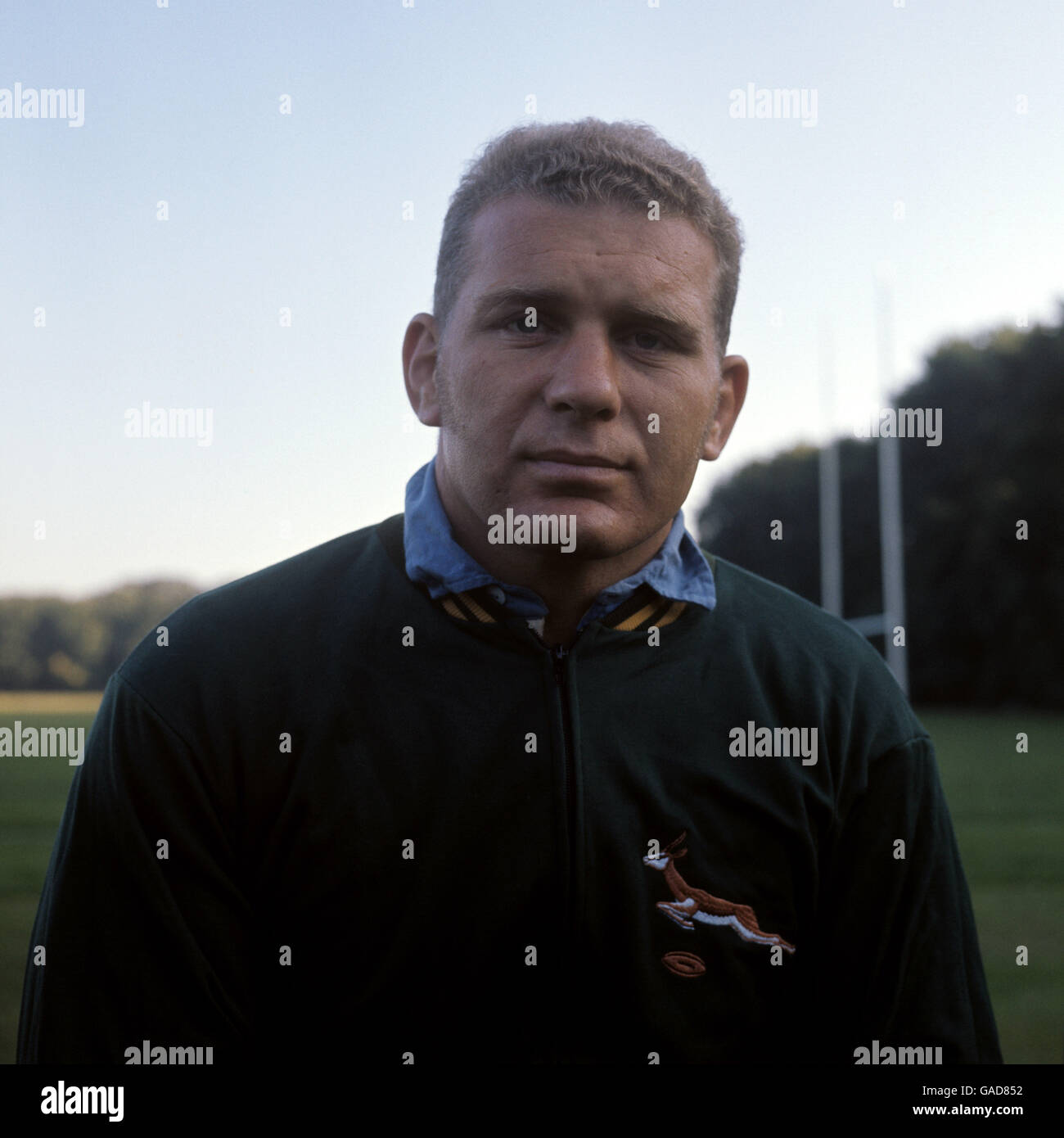 Rugby Union - Springboks Stock Photo - Alamy