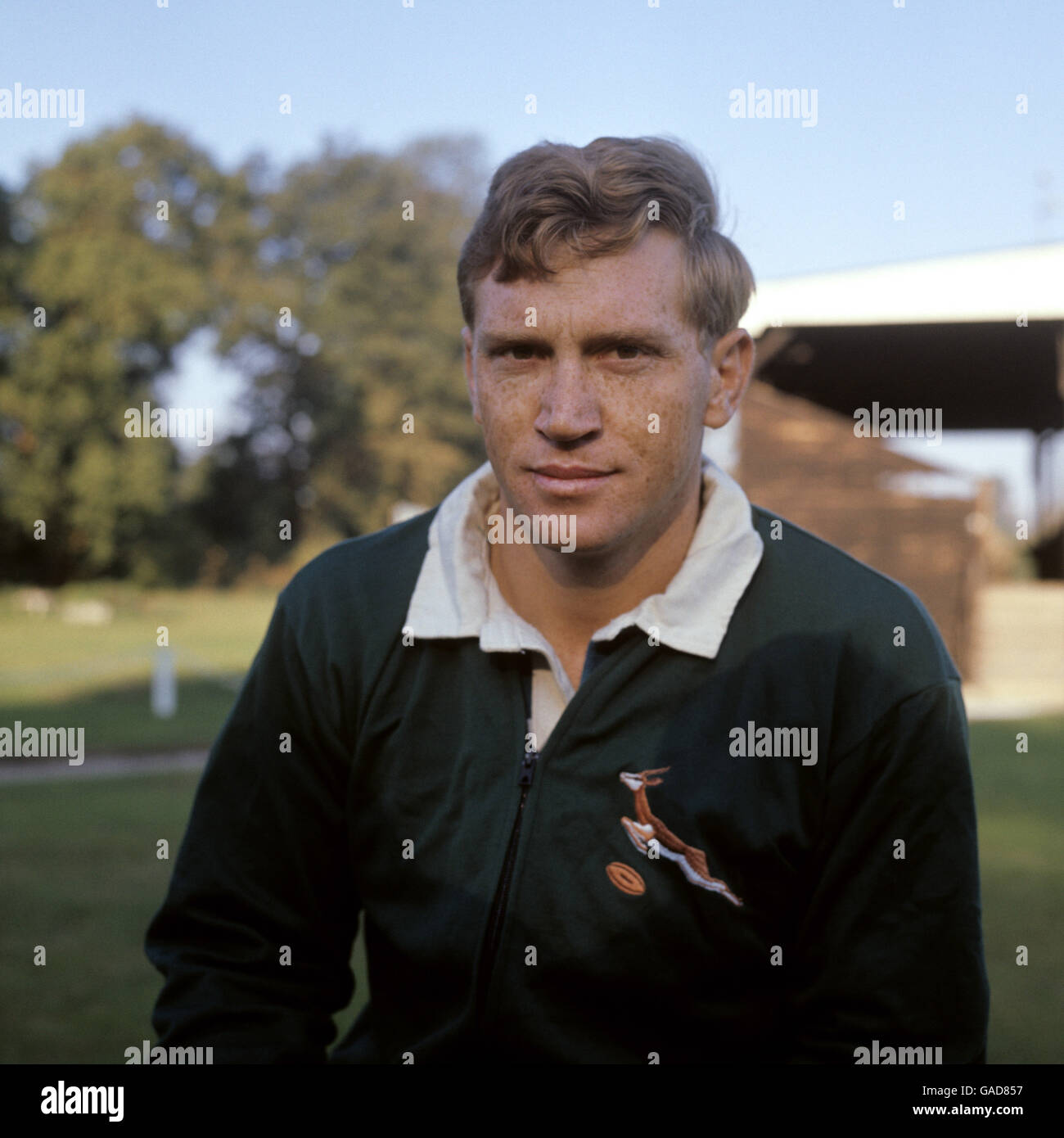 Rugby Union - Springboks Stock Photo - Alamy