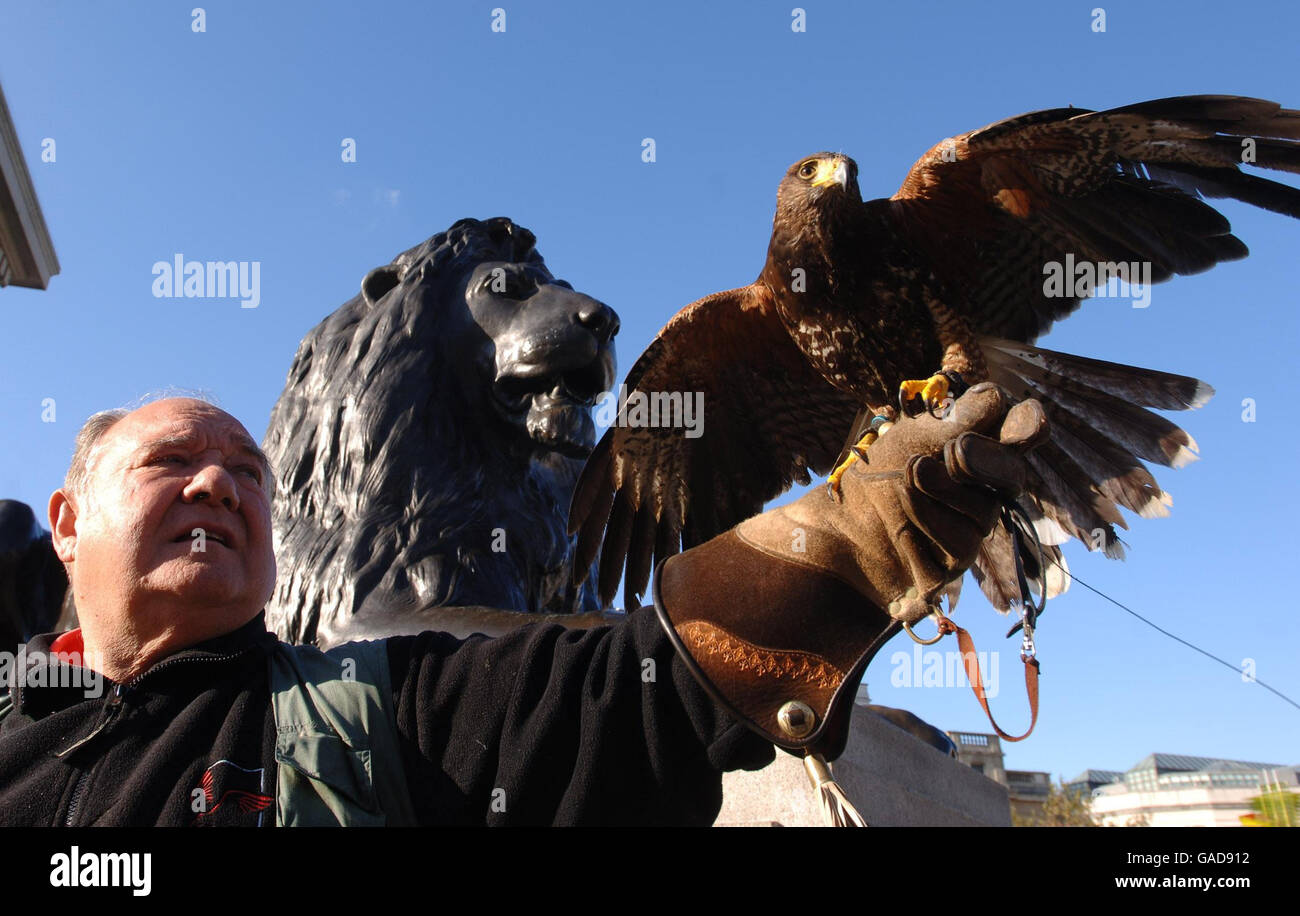 Brian Beland stands in Trafalgar Square central London with 'Billybob ...