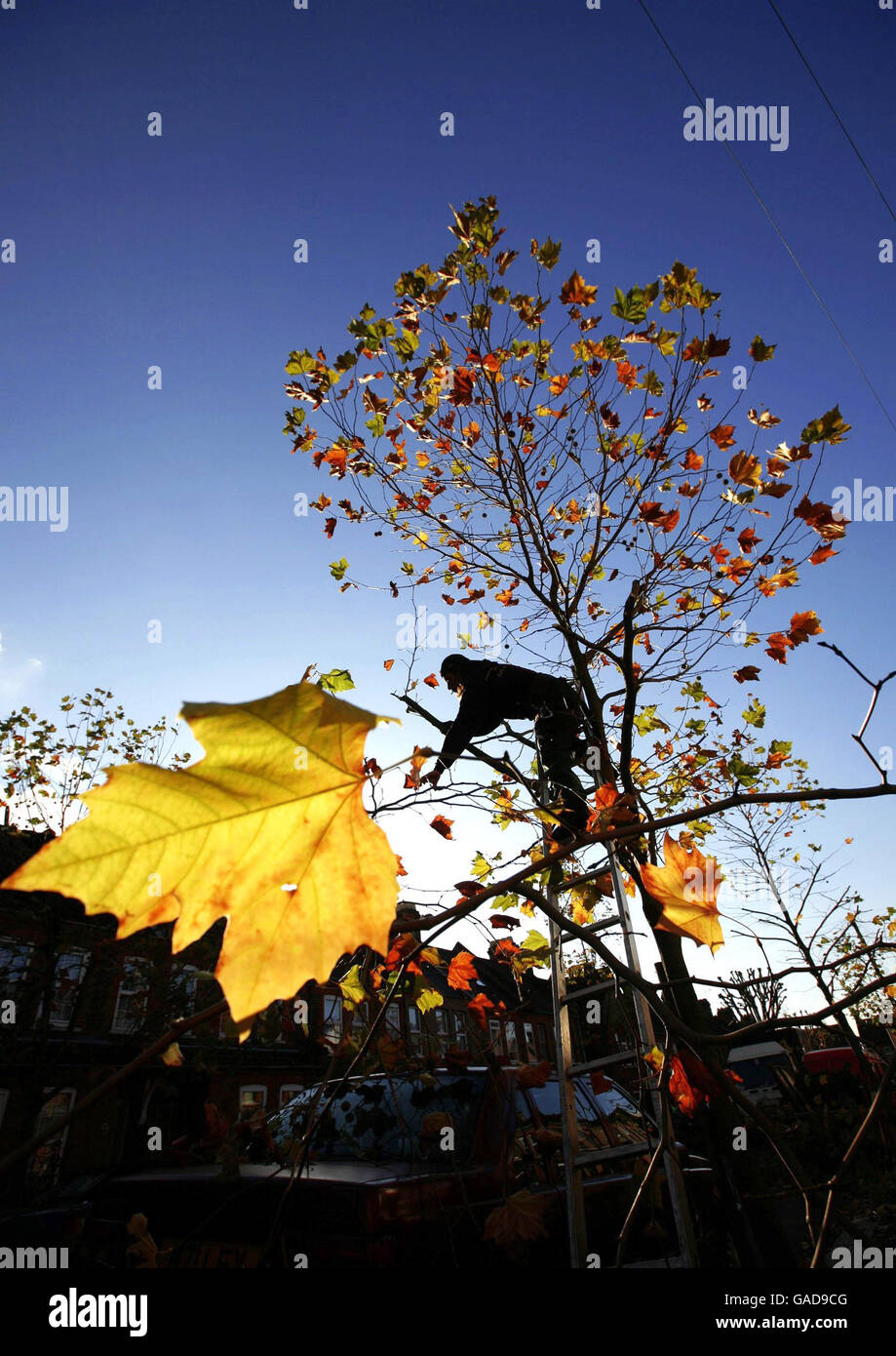 Weather - Autumn Scenes - Walthamstow Stock Photo - Alamy