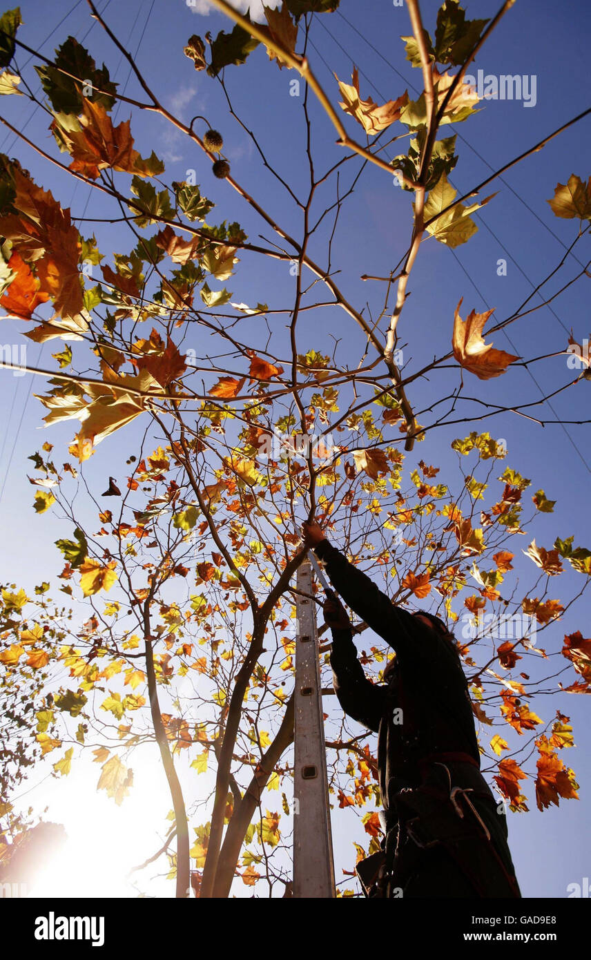 Weather autumn autumncollectionkr autumncollection hi-res stock ...