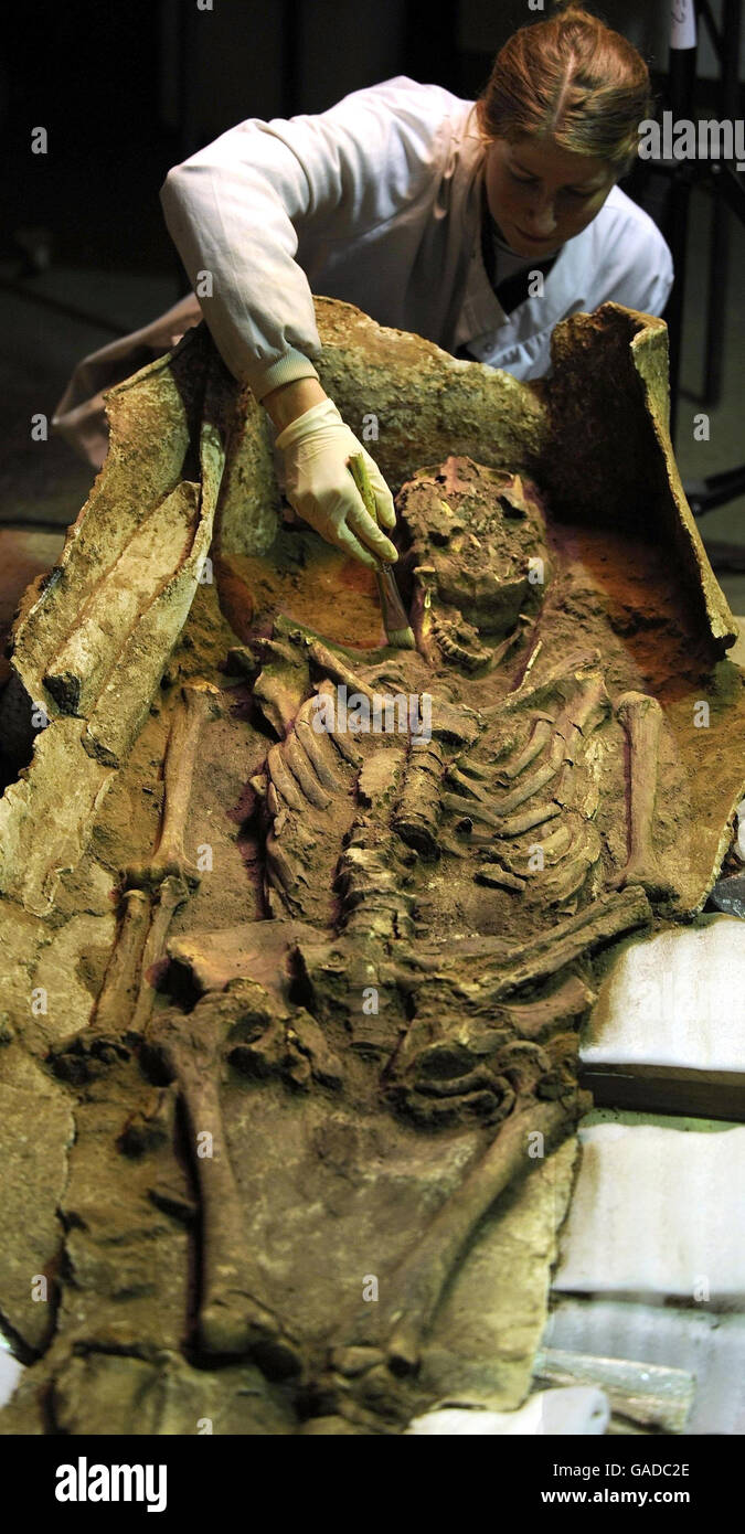 Felter High Resolution Stock Photography and Images - Alamy