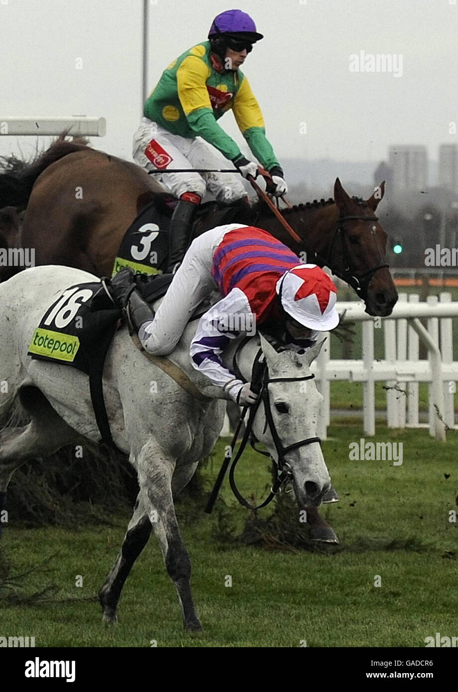 Jockey Brian Harding holds on to Silver Jack at the Chair fence in the ...