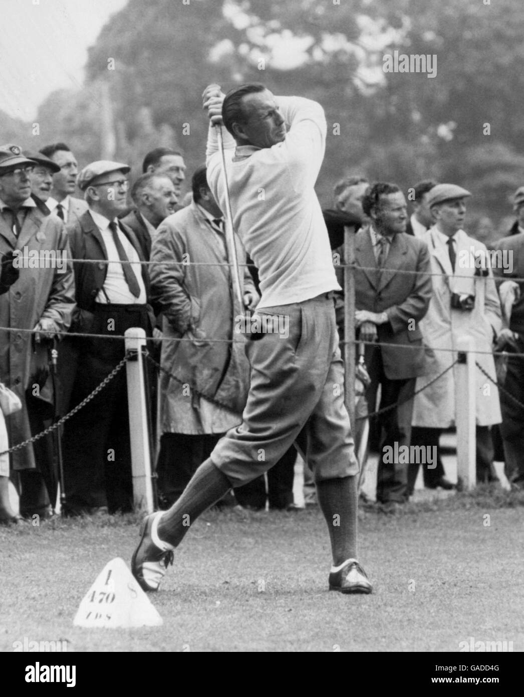 Golf - Daks Tournament - Wentworth. Max Faulkner drives from the first ...