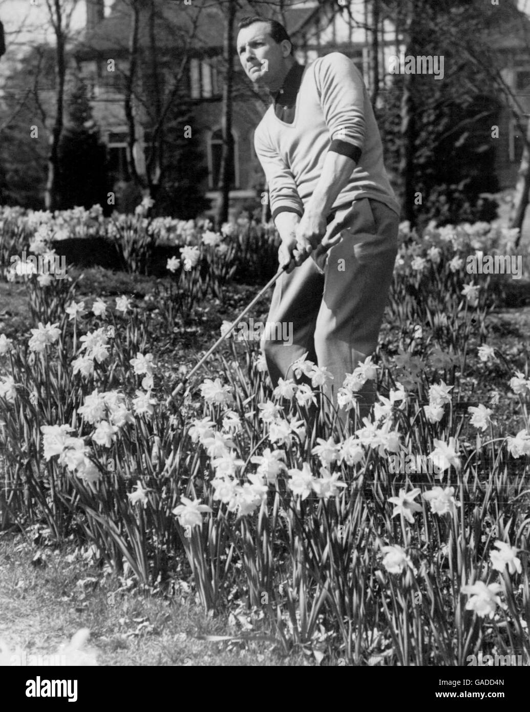 Golf - Spalding Professional Tournament - Moor Park. Max Faulkner plays ...