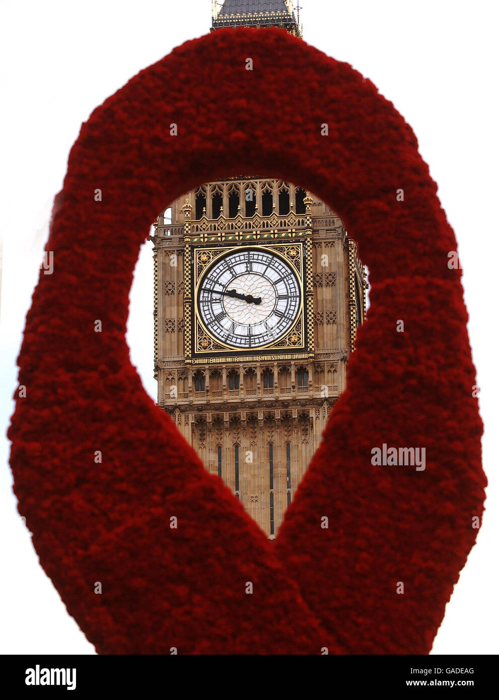 A giant red ribbon made from 6,000 carnation flowers stands in ...