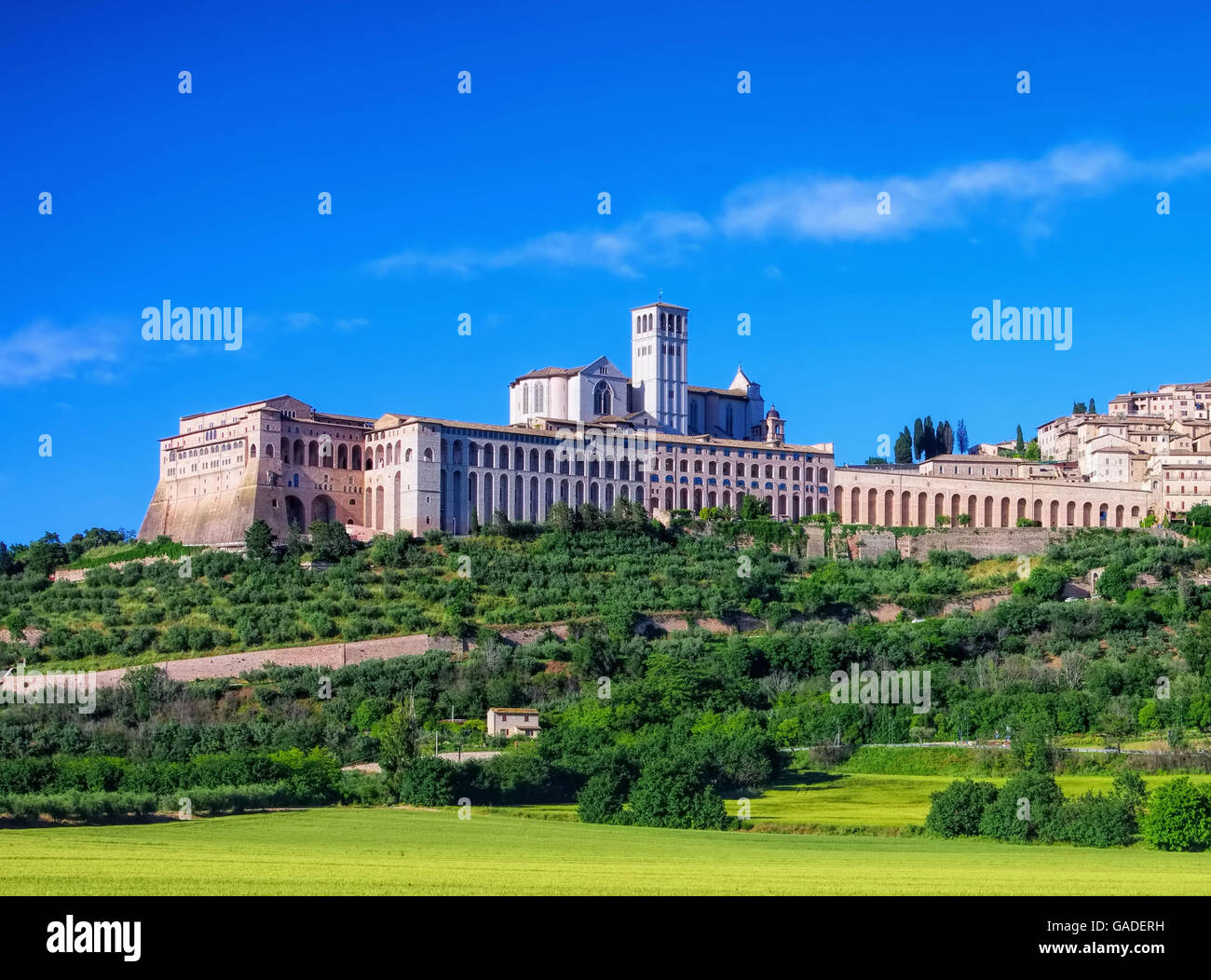 Kathedrale basilika st francis assisi hi-res stock photography and ...