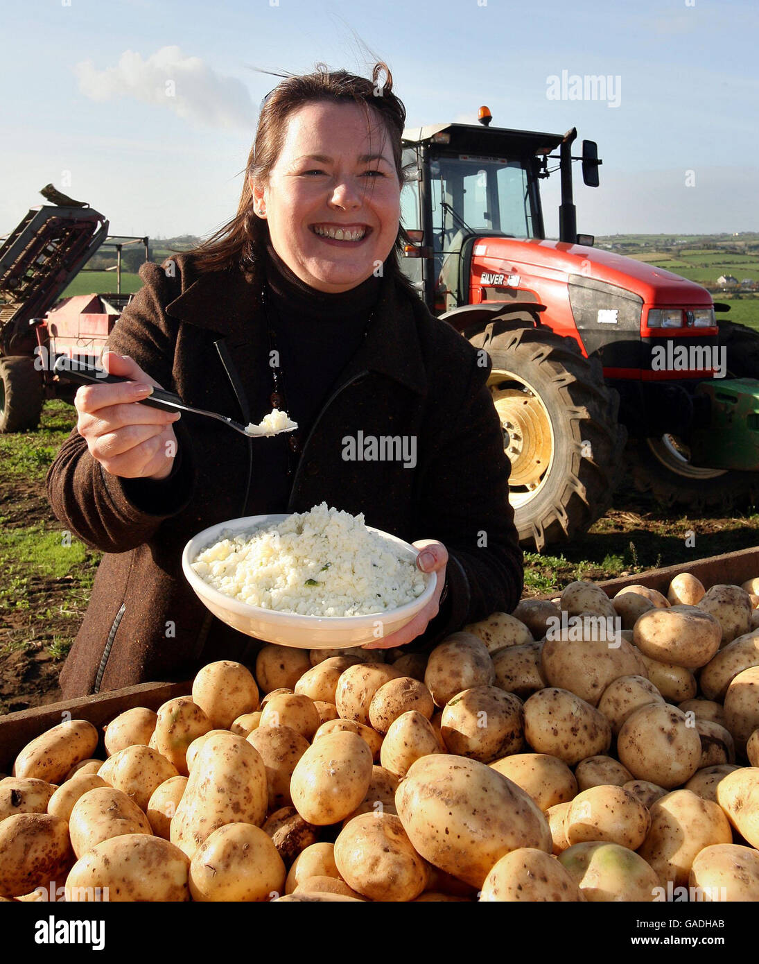 Irish Agriculture Secretary pledges to cut rural poverty Stock Photo ...