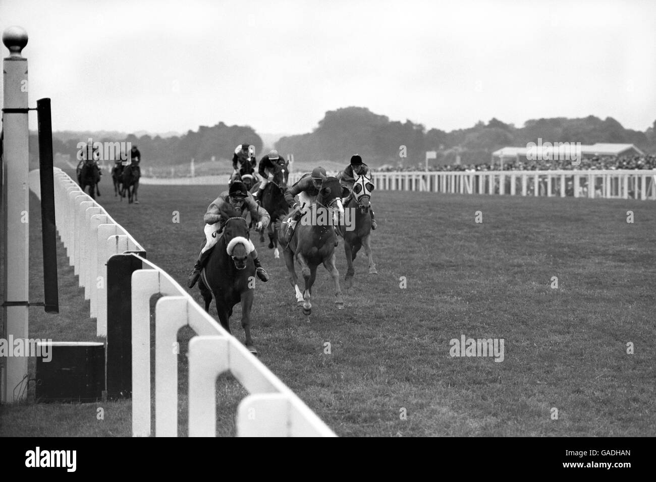 The finish won by H.M. The Queen's "Restoration" (12, Harry Carr), from ...