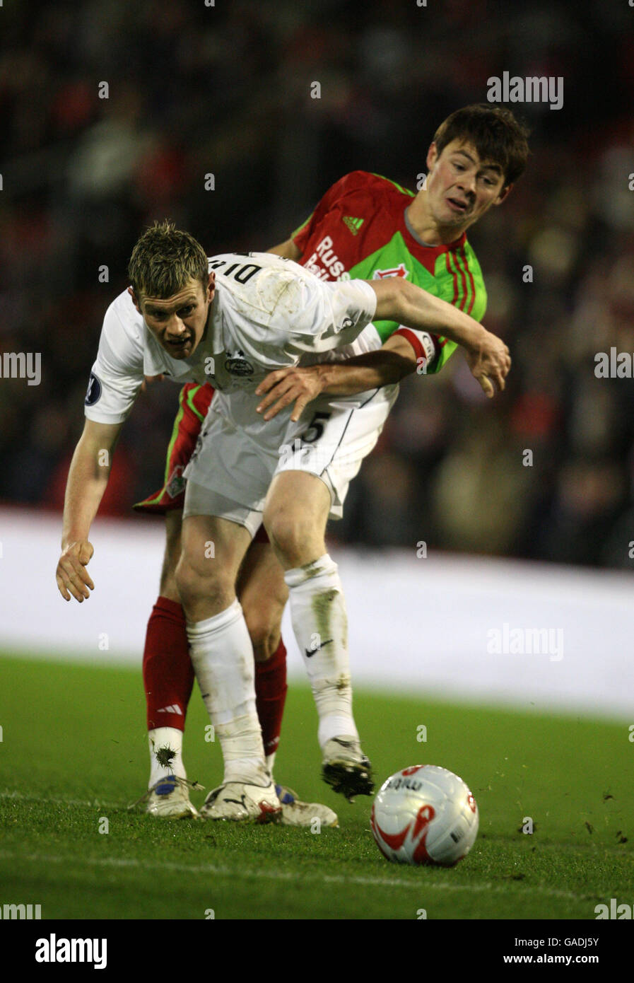 Aberdeens Zander Diamond High Resolution Stock Photography and Images ...