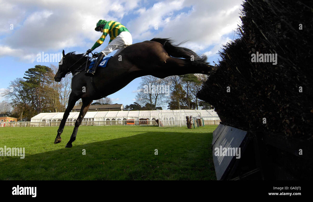 Fontwell racecourse general hi-res stock photography and images - Alamy